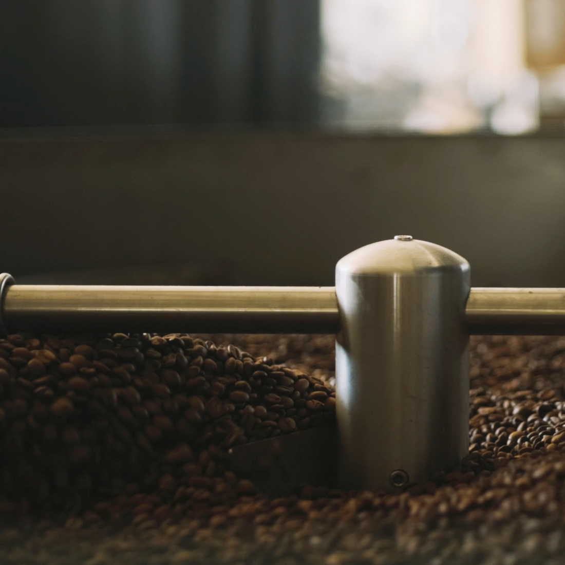 Meet the White Rhino Coffee Team | Our People